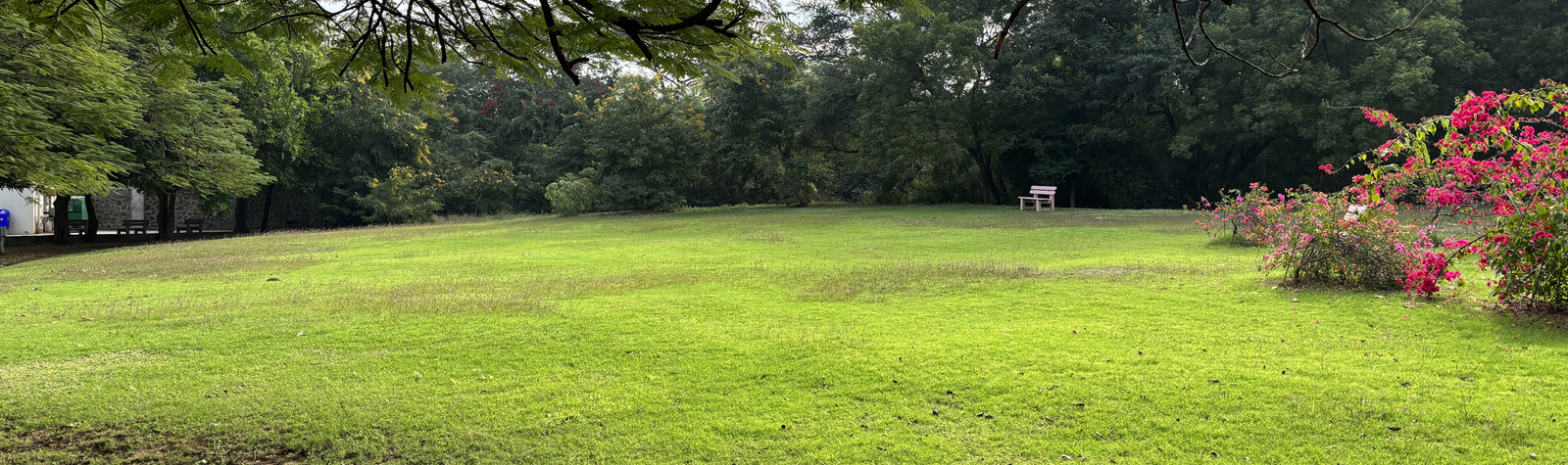 Meadow-02 | Dhirubhai Ambani Institute of Information and Communication ...